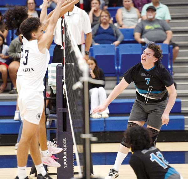 Warriors fend off Na Alii in 4, tighten grip on top spot | News, Sports ...